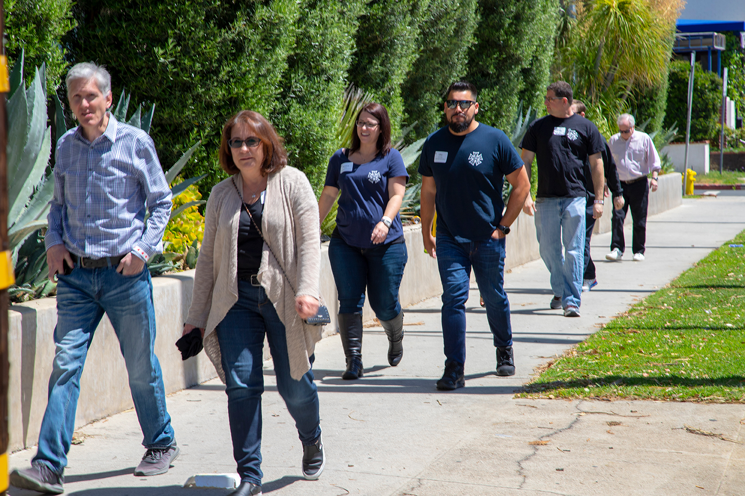 Editors Guild - IATSE Local 700 > About > Committees